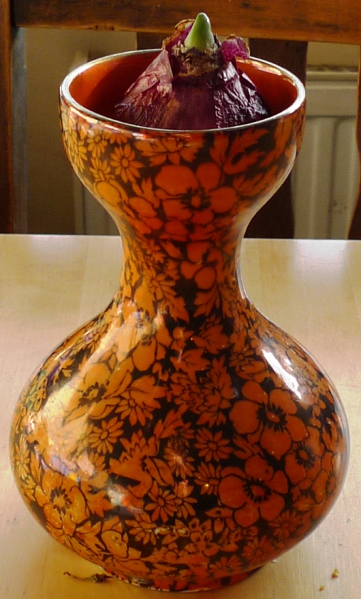 Hyacinth Vases | There is nothing half so much worth doing as messing ...